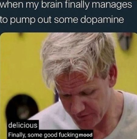 30 Funny Gordon Ramsay Memes You Can't Ignore