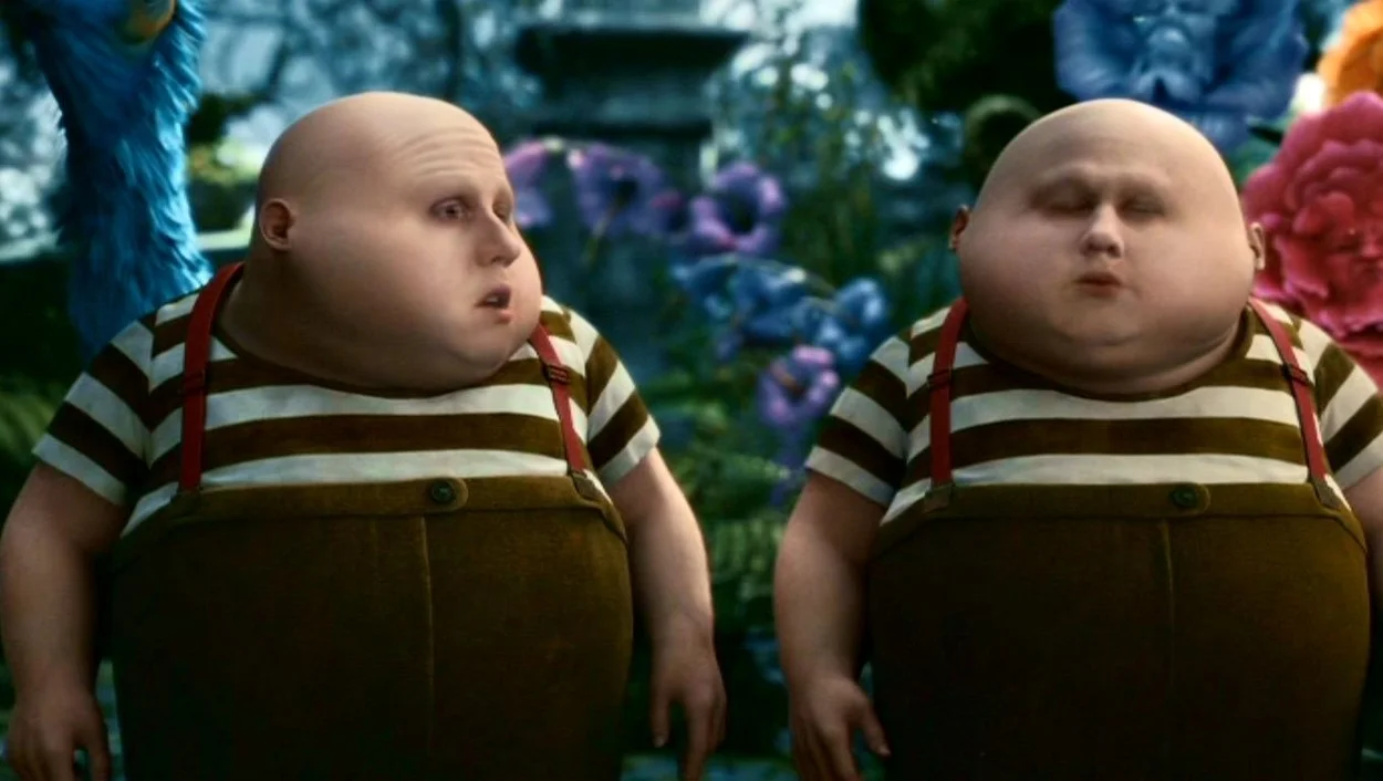 Get To Know The Twins In Alice In Wonderland