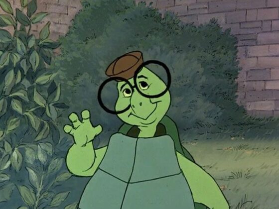20 Most Popular Cartoon Turtle Characters Of All Time